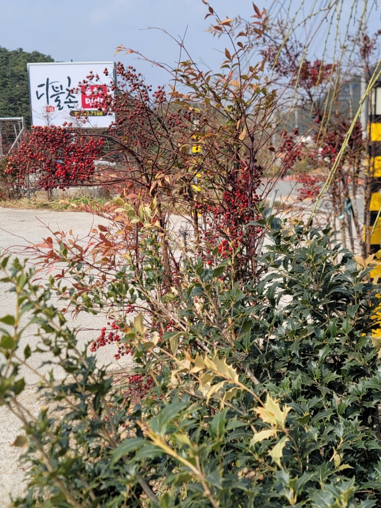 경주독채펜션 온 가족이 만족했던 다불촌독채펜션 : 네이버 블로그