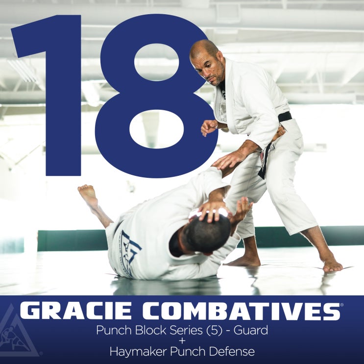 그레이시 주짓수 포항, 오늘의 수업은 Lesson 18. Haymaker Punch Defense & Punch Block ...