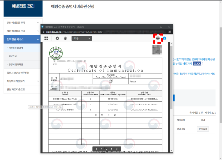 정보 코로나19 영문백신증명서 온라인 발급해서 Pdf로 저장하기 네이버 블로그