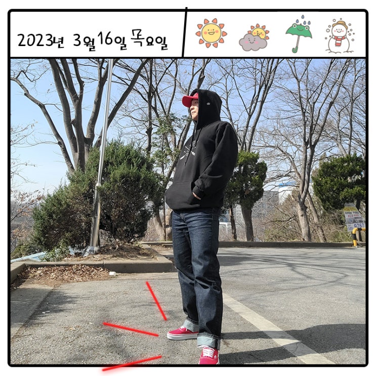 반스 어센틱 레드 포인트 주기 좋은 봄코디 네이버 블로그