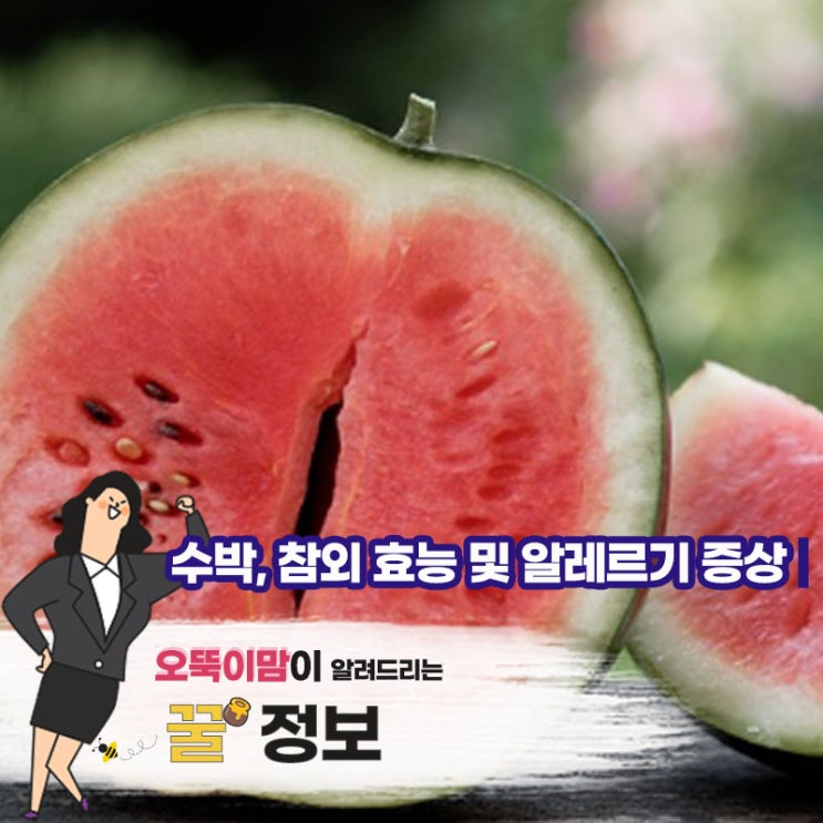 참외 수박 효능 및 알레르기 반응 네이버 블로그