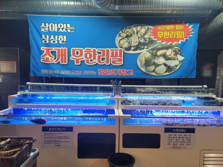 천안 백성동 조개 창고 무한리필 봄바람 불어오는 어느 날 네이버 블로그