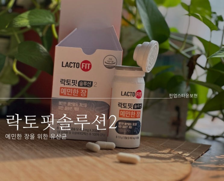 장예민러를 위한 유산균 Ft박서준유산균 네이버 블로그