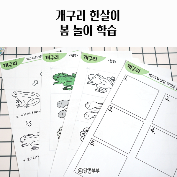개구리 한살이 성장과정 봄 놀이학습 네이버 블로그