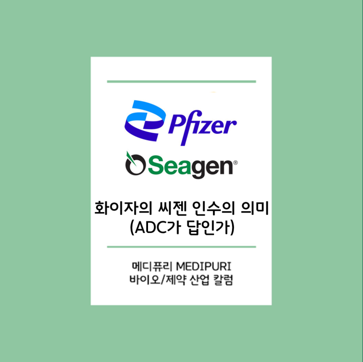 화이자의 씨젠(Seagen) 인수 결정, ADC가 답인가 (레고켐바이오주가) : 네이버 블로그
