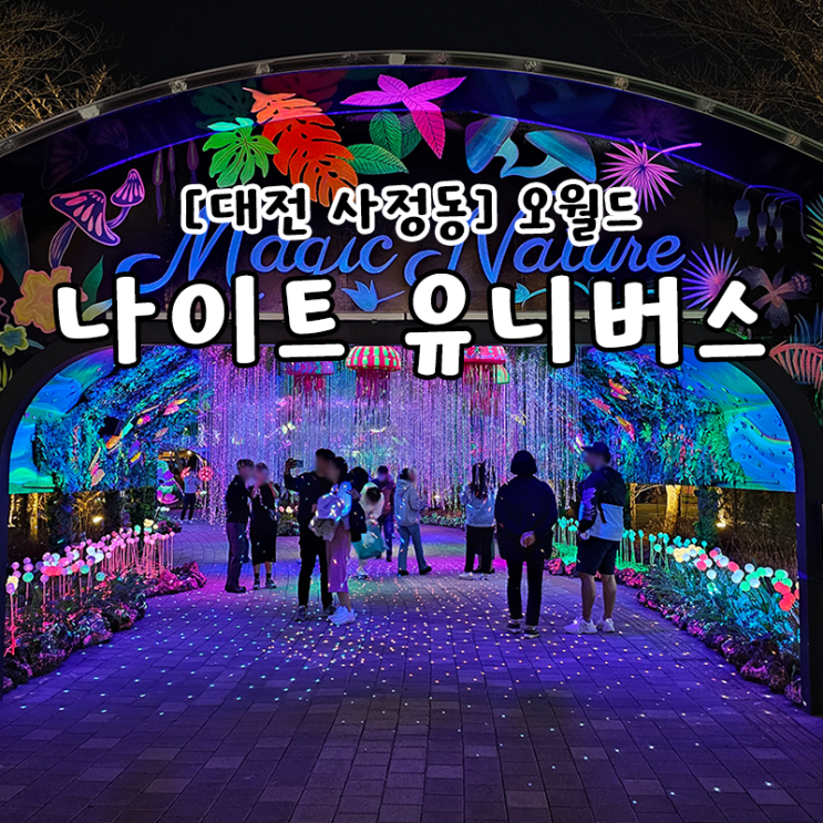 대전 놀거리 오월드 나이트유니버스 요금 주차장 먹거리 및 후기 네이버 블로그