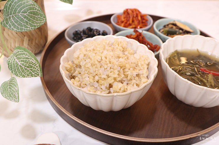 곤약밥 만들기 현미 곤약밥 하는법 다이어트식 곤약밥 냉동 보관 : 네이버 블로그