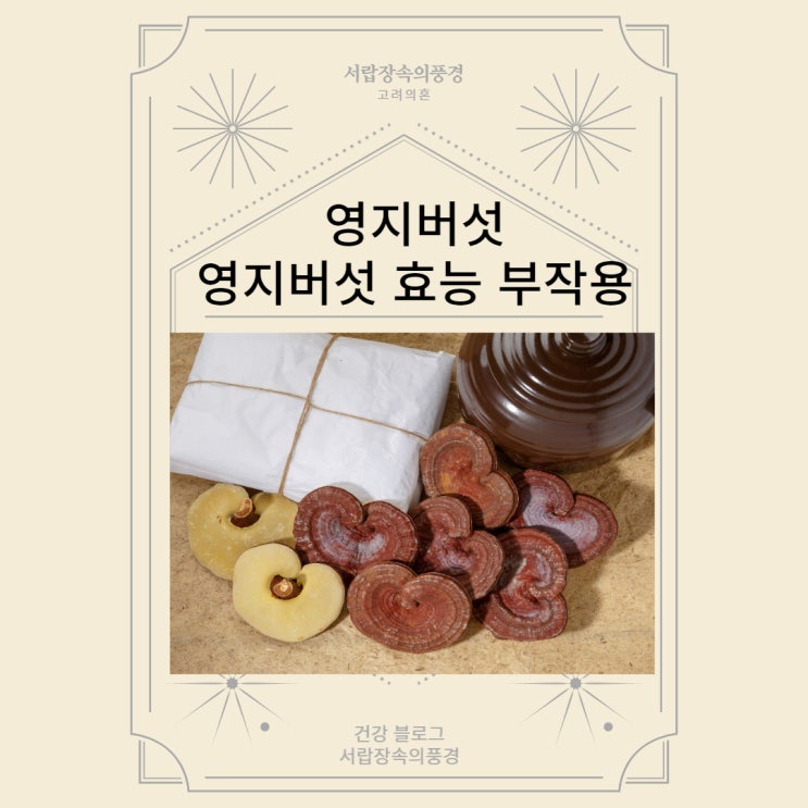 영지 버섯 효능 영지버섯차 영지버섯 부작용 네이버 블로그