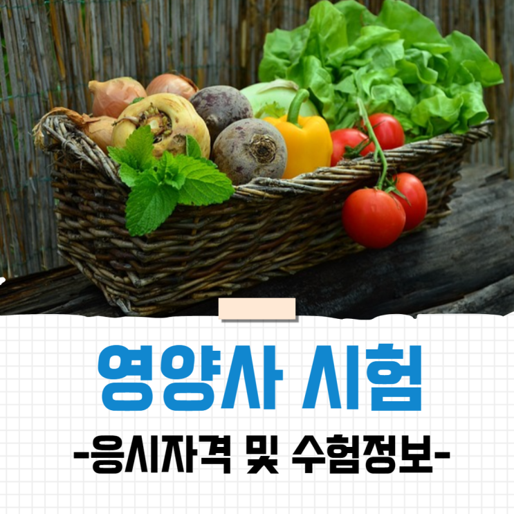 영양사국가고시 영양사자격증 영양사시험 준비 이렇게 네이버 블로그