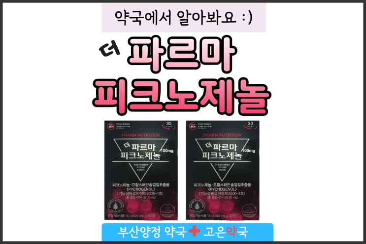 피크노제놀 고혈압고지혈증당뇨있는 사람이 먹어도 되나요 파르마피크노제놀 네이버 블로그