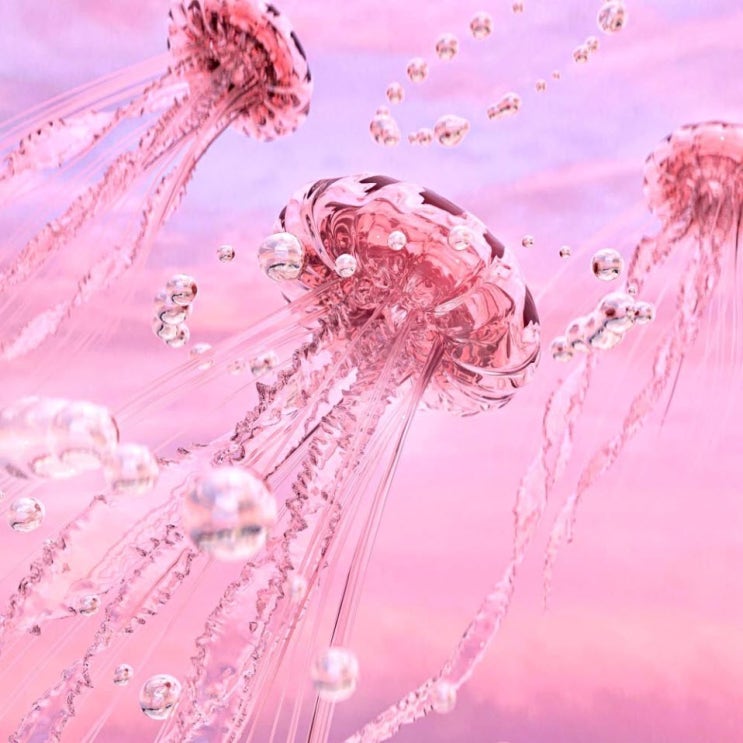 Jxxn(진) - 학교 [노래가사, 듣기, Audio] : 네이버 블로그