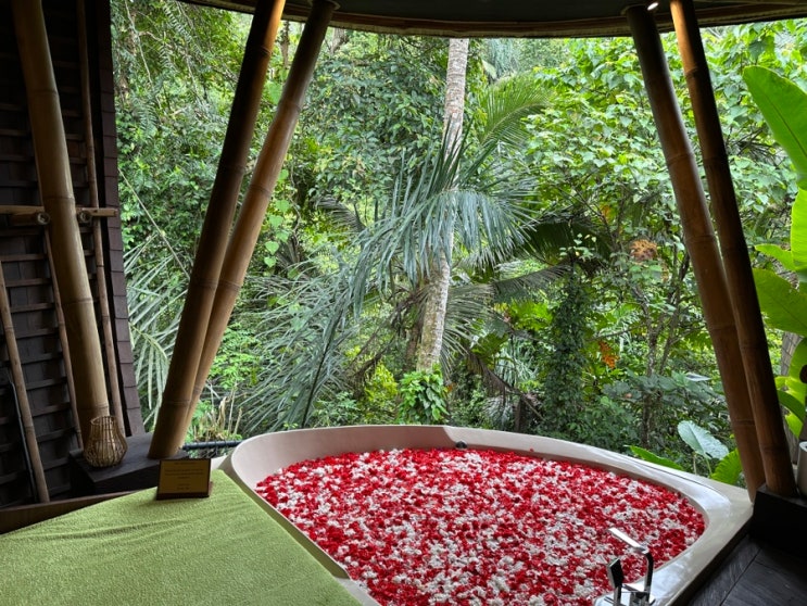 발리#3_우붓_우붓 마사지 / 케이클럽 마사지 /메카르 정글 스파 /Mekar Ubud Jungle Spa : 네이버 블로그