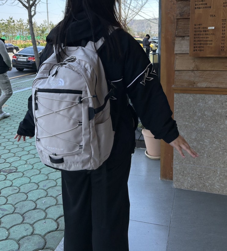[대학생 가방추천/학생 책가방추천] 노스페이스 보레알리스 에스이/borealis se 한 달 사용후기 : 네이버 블로그