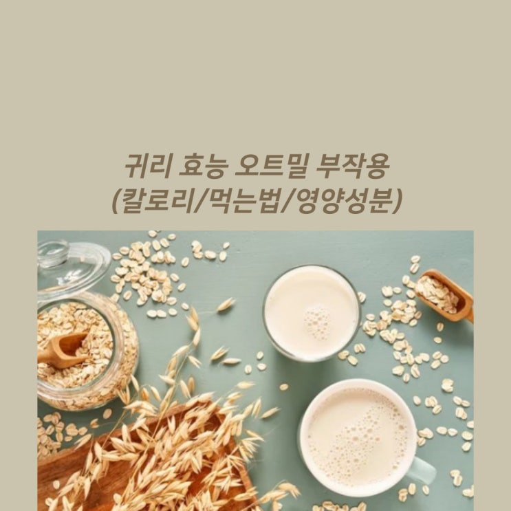 귀리 효능 오트밀 부작용칼로리먹는법영양성분 네이버 블로그