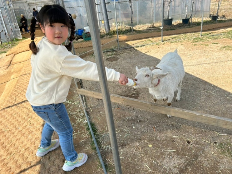 아이와 함께 파주 나눔농장 먹이주기 체험 네이버 블로그