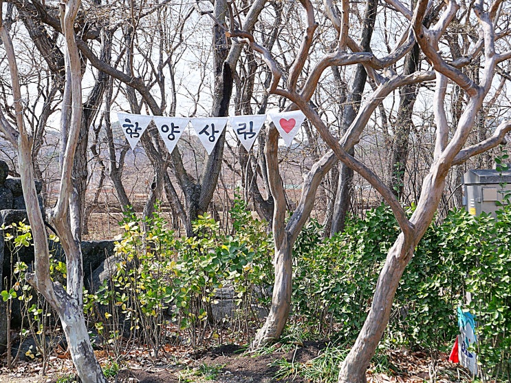 경남 함양 여행 추천 개평한옥문화체험휴양마을 한옥 감성 숙소 남계스테이 하룻밤 선비탐방로 둘레길 상림공원 걷기위드폴 함양on