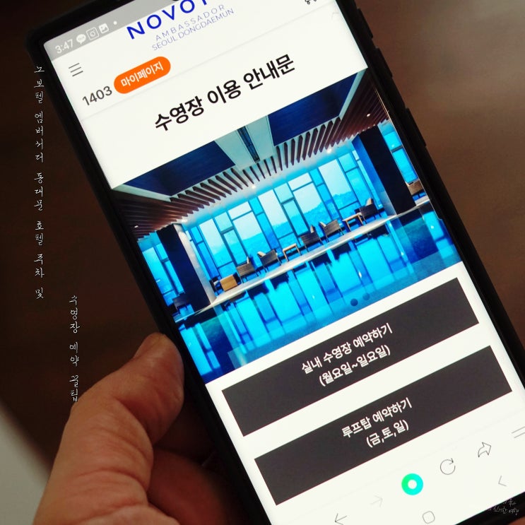 노보텔 앰배서더 동대문 호텔 주차 및 수영장 예약 꿀팁 네이버 블로그