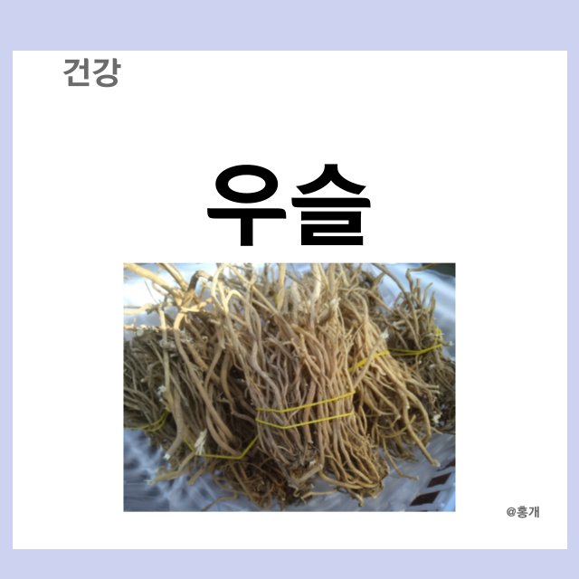 우슬 효능 부작용 우슬뿌리 먹는방법 우슬차 네이버 블로그