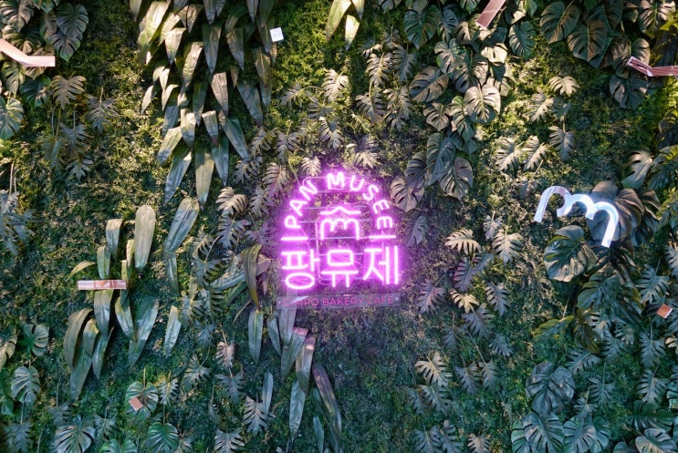 김포 풍무 김포 베이커리 카페 팡뮤제 너무나 이쁜 김포 신상 카페로 초대해요~♡ 네이버 블로그