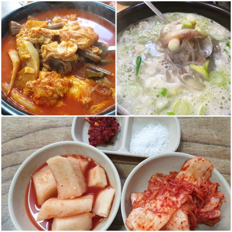 강릉아침식사육개장맛집소머리국밥맛집고향해장국강릉동부시장박철수박철수교수덕산박철수교수맛집한림성심대학교입학