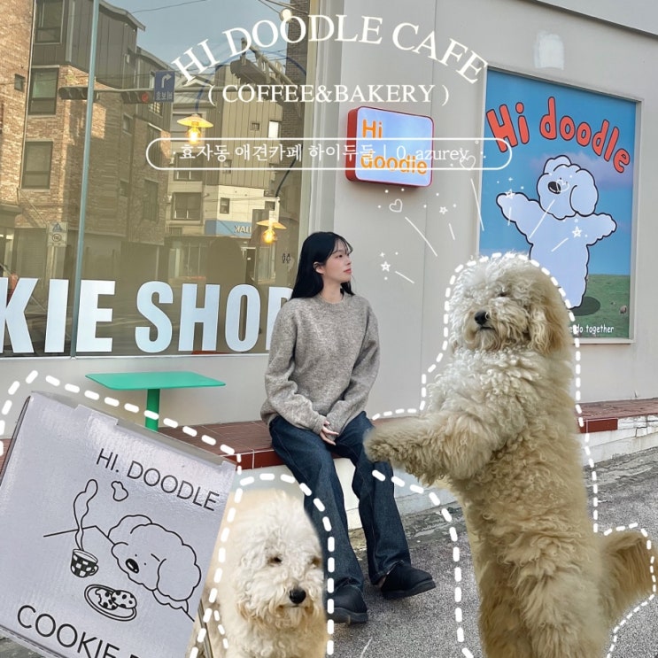 전주 효자동 애견동반 가능한 하이두들 카페, Hi Doodle : 네이버 블로그