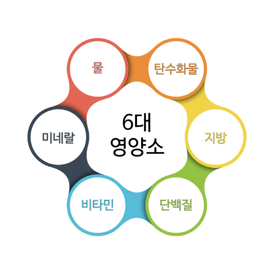 [생리학] '영양소의 종류'에 대해 서부 YMCA 피트니스에서 알려드립니다. : 네이버 블로그