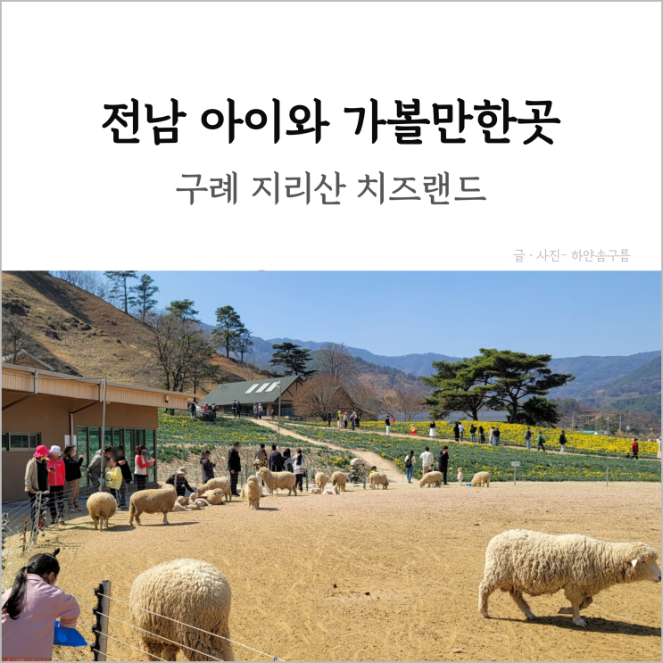 전남 구례 아이와 가볼만한곳 지리산 치즈랜드 수선화 봄꽃 네이버 블로그