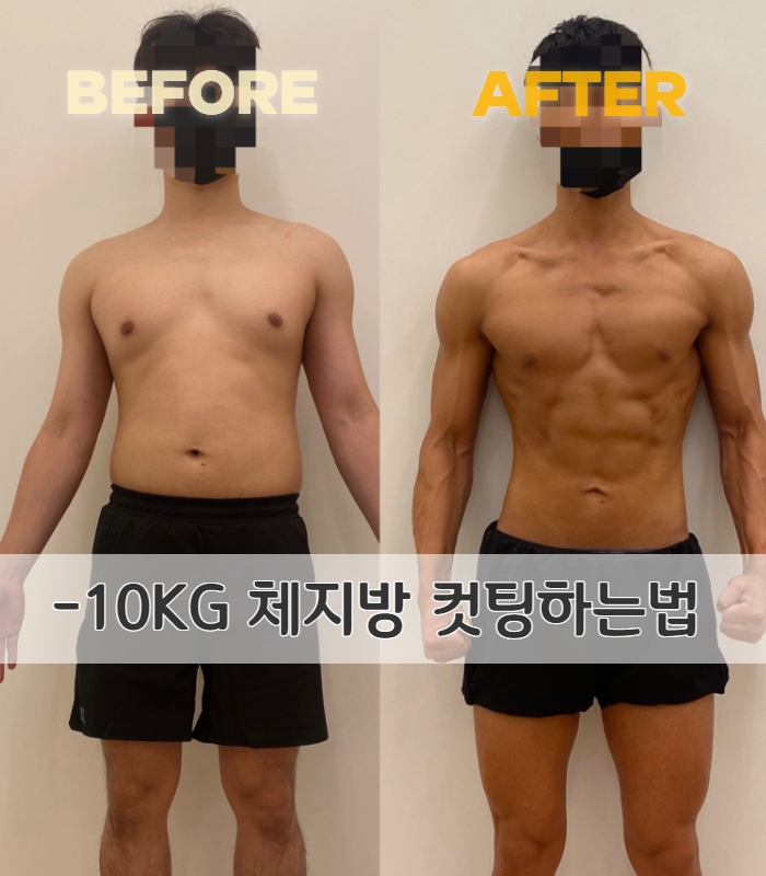 동래피티 레고핏100일 다이어트의 기적 부산pt동래pt안락동pt명장동pt반여동pt연산동pt 네이버 블로그