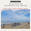 호주여행 골드코스트 서퍼스파라다이스 비치에서 서핑 클래스 도전 버거 맛집과 센터 구경 네이버 블로그