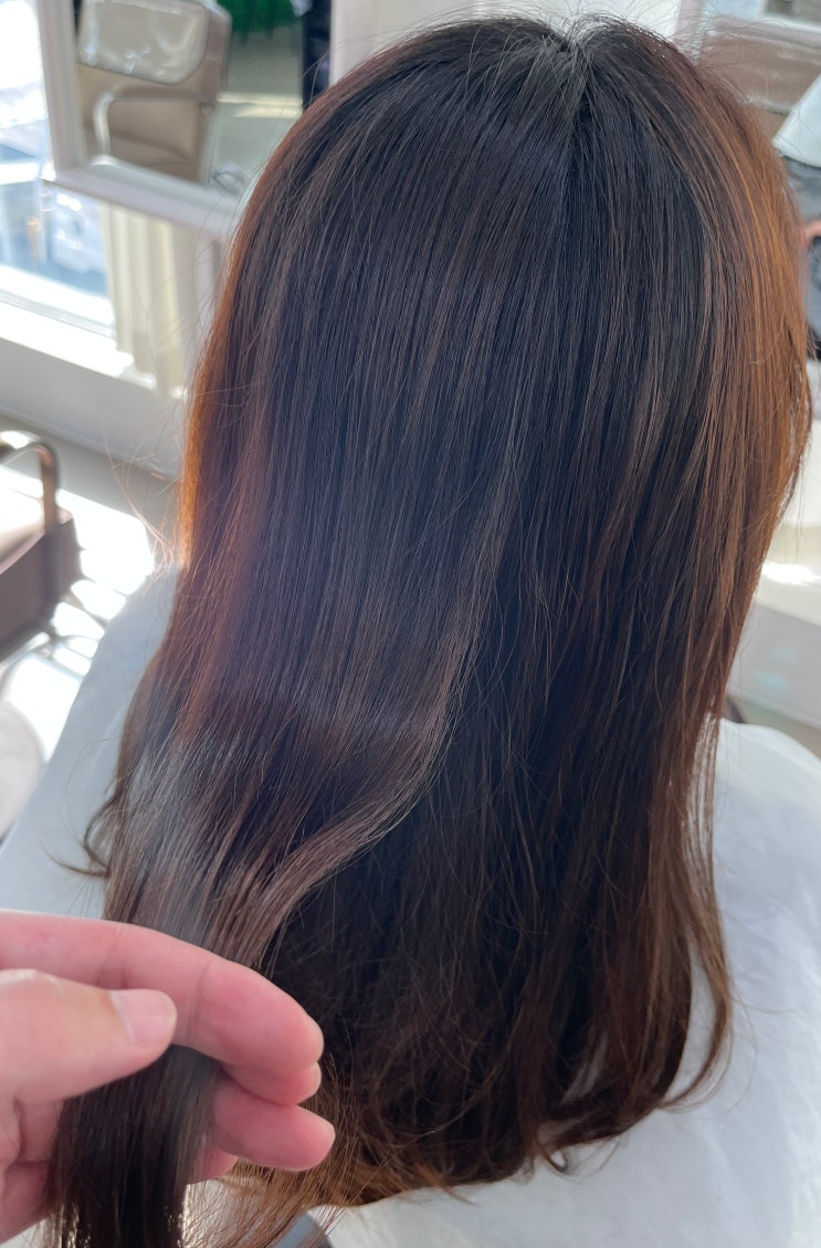 봉천역 미용실 더숲헤어 클리닉 후기 네이버 블로그