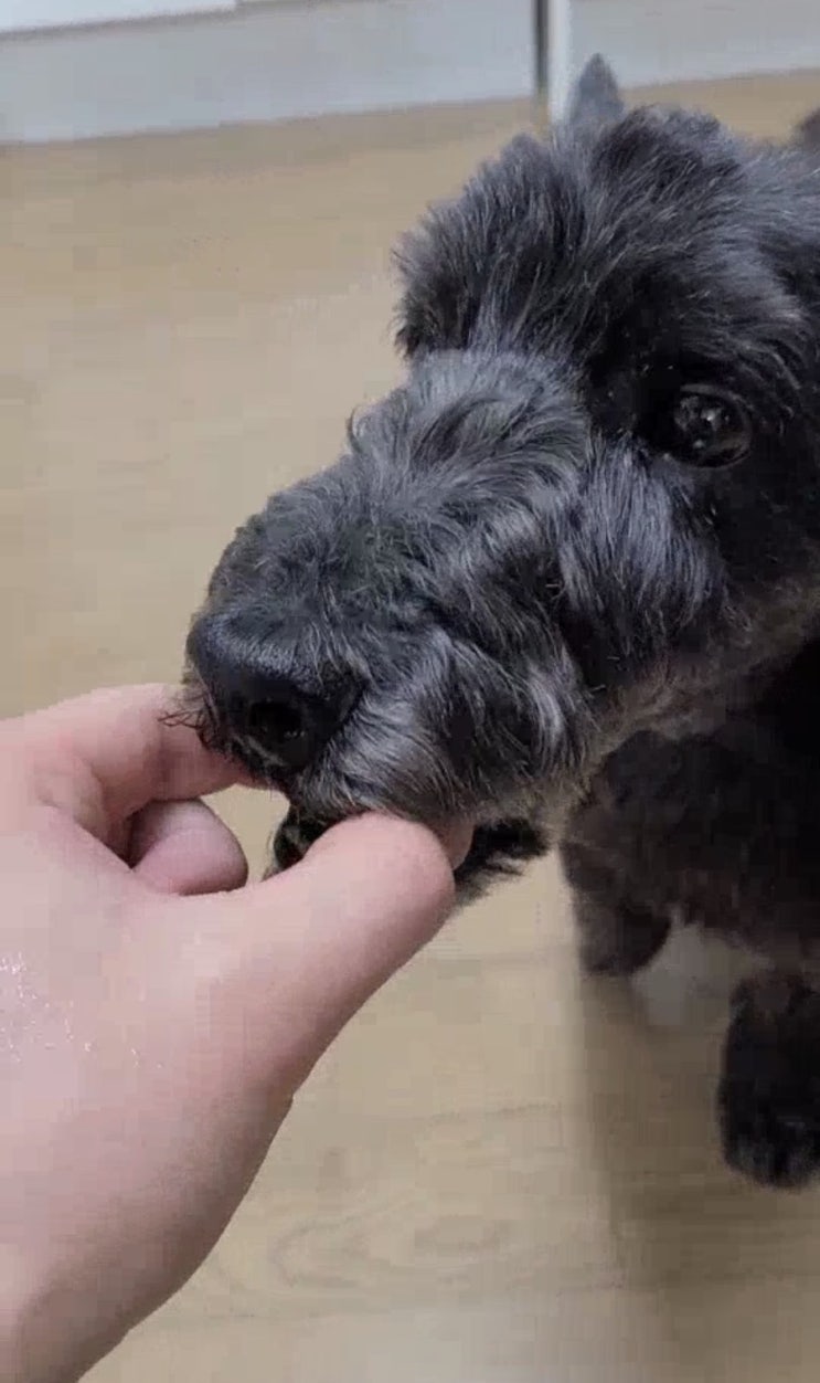 오랜만에 일상이니까 보러와(요) 😤🙏💜 : 네이버 블로그