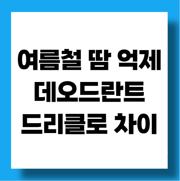 올리브영 땀 억제 데오드란트 드리클로 차이 사용법 크리스탈 니베아 제품 특징 네이버 블로그
