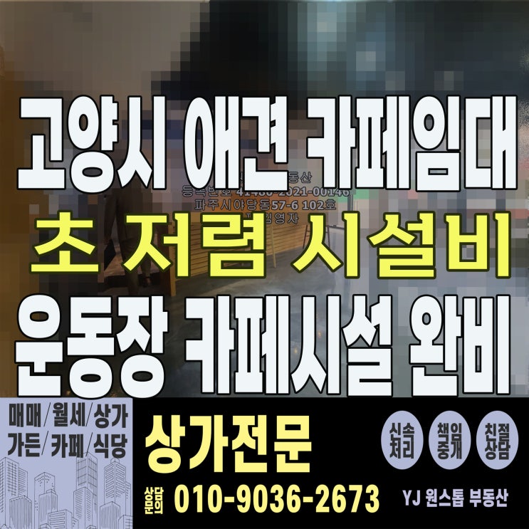 고양시 애견카페임대 운동장 시설 완비 거의 무권리 단독 넓은마당 매물 상가전문부동산 네이버 블로그