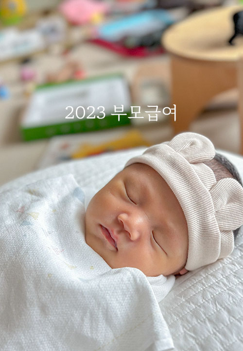 2023년 부모급여 가정양육수당 보육료 등 보육서비스 알아보기 네이버 블로그