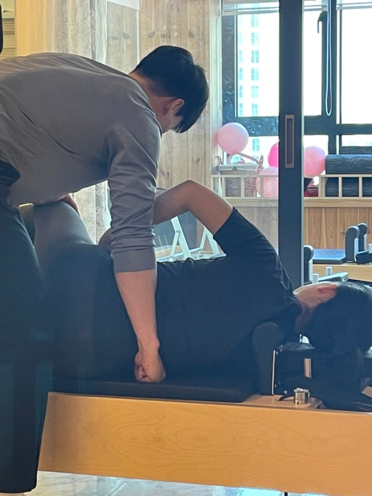 김포풍무동 해부학교육 필라테스운동강사를 위한 교육 마곡김호정의그릿필라테스 네이버 블로그