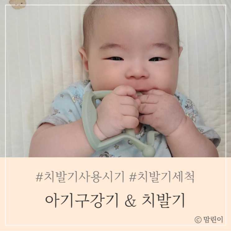 아기 구강기 치발기 사용시기 세척 소독방법 네이버 블로그
