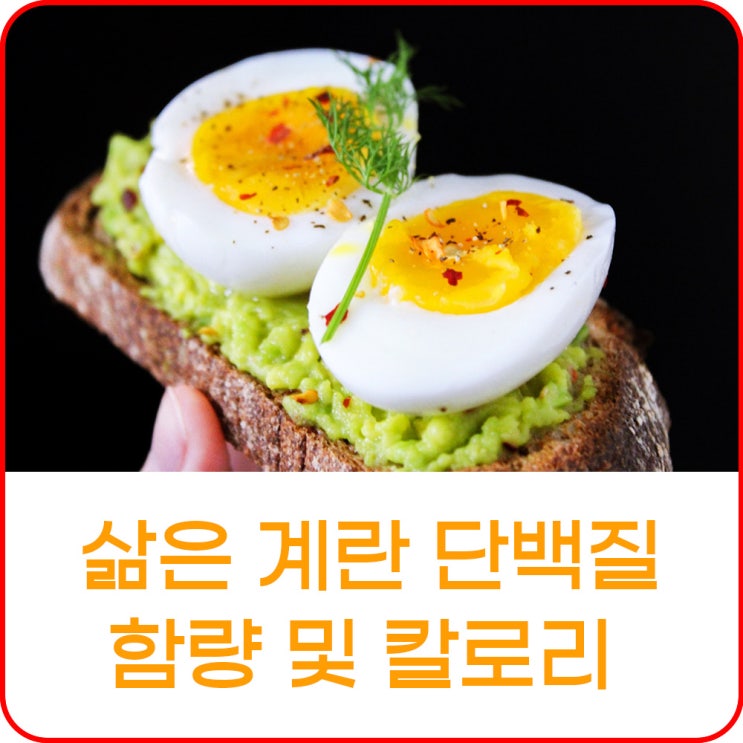 삶은계란 단백질 함량과 칼로리 확인 네이버 블로그
