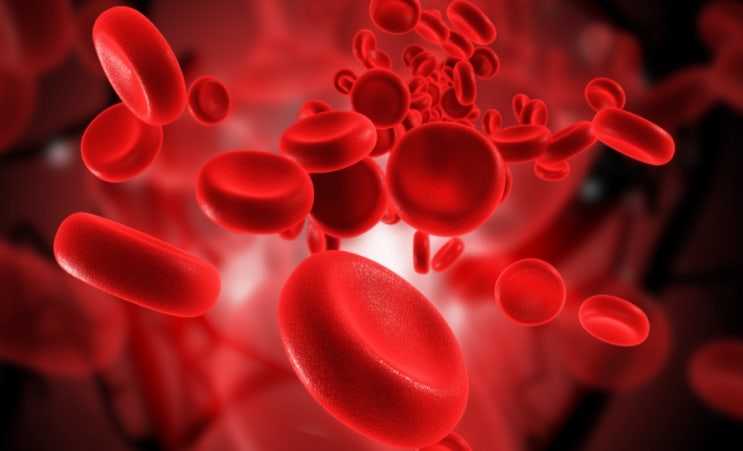 blood transfusion(TF), 수혈 PRC, FFP, PC : 네이버 블로그