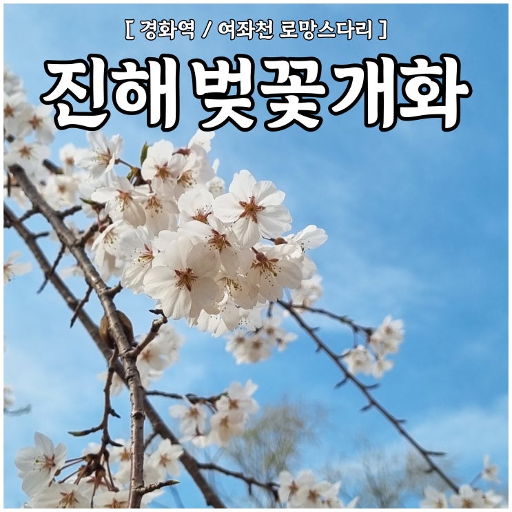 경남 진해 경화역공원 여좌천 로망스다리 벚꽃 개화 명소 실시간 상황군항제 D 3 네이버 블로그