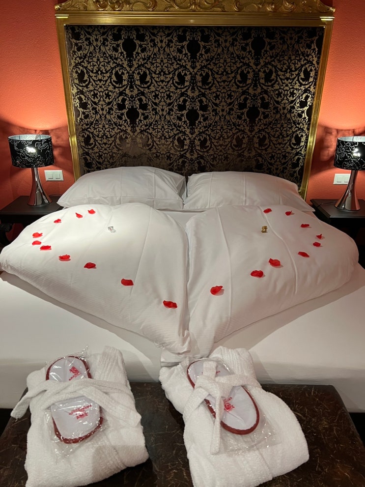 [신혼여행 5편] 인터라켄 4성급 가성비호텔 | 스위스 신혼여행 숙소추천 | 크렙스 Krebs Hotel + 조식 : 네이버 블로그