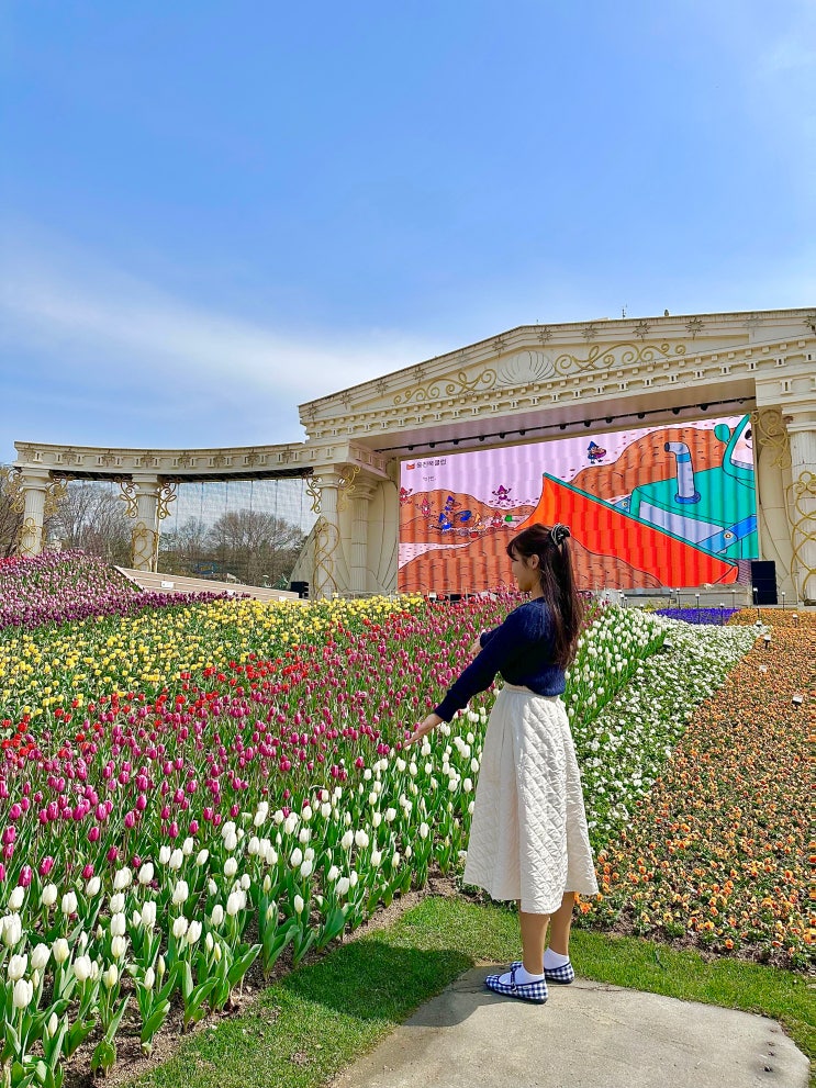 경기 용인 환~상의 나~라 에버랜드로🎠페어리타운 튤립축제 현황🌷주말 오픈런 후기 에버랜드 할인방법 사파리월드 현장줄서기 후기 에버랜드 온더보더스타벅스 이용까쥐 