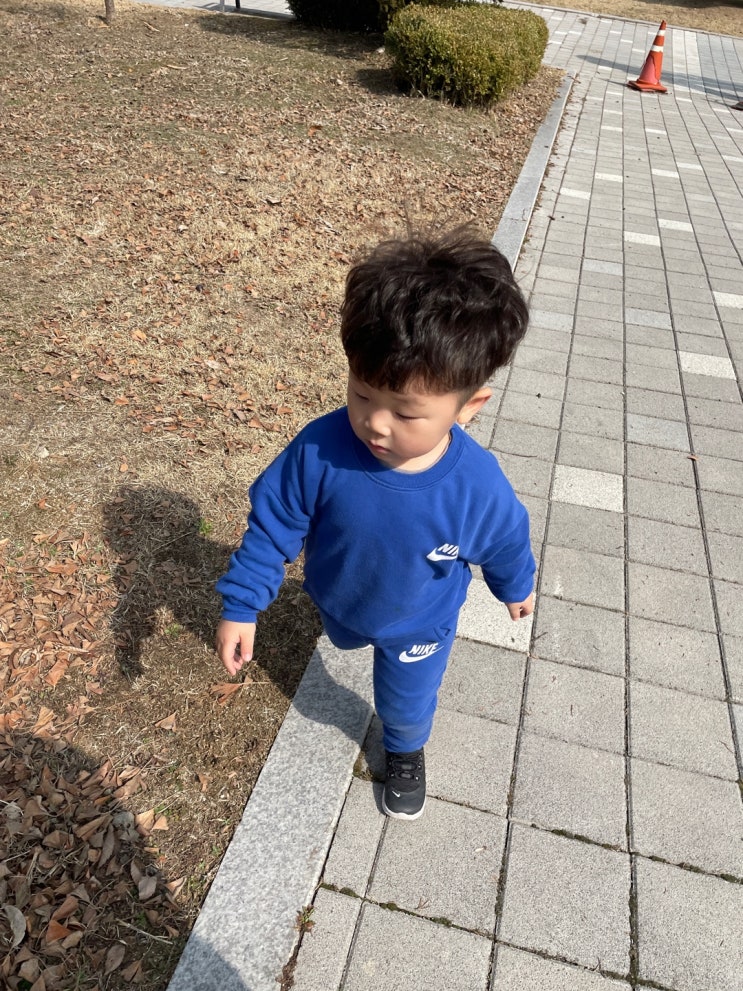 39개월발달 언어지연 진단후 지금은 변호사 대근육 소근육 자조능력 : 네이버 블로그