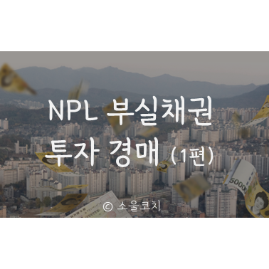 NPL 부실 채권 투자 경매 : 네이버 블로그