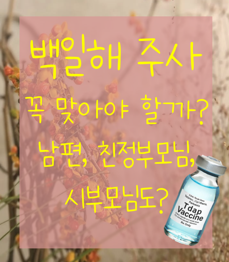 백일해 주사 꼭 맞아야 할까 남편 친정부모님 시어머니도 정답은 네이버 블로그