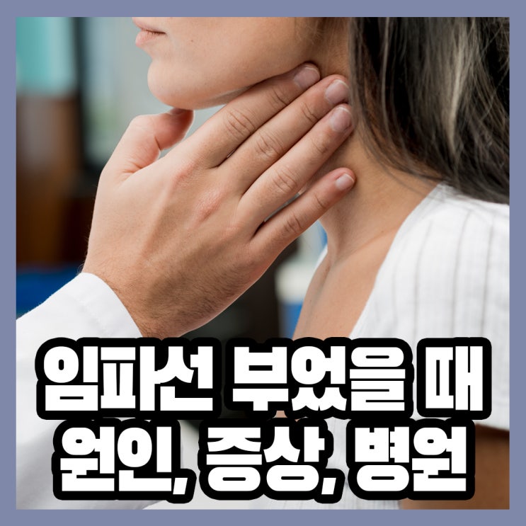 목 임파선 멍울이 잡힌다면 임파선 부었을때증상 원인 병원 및 임파선에 좋은음식 네이버 블로그