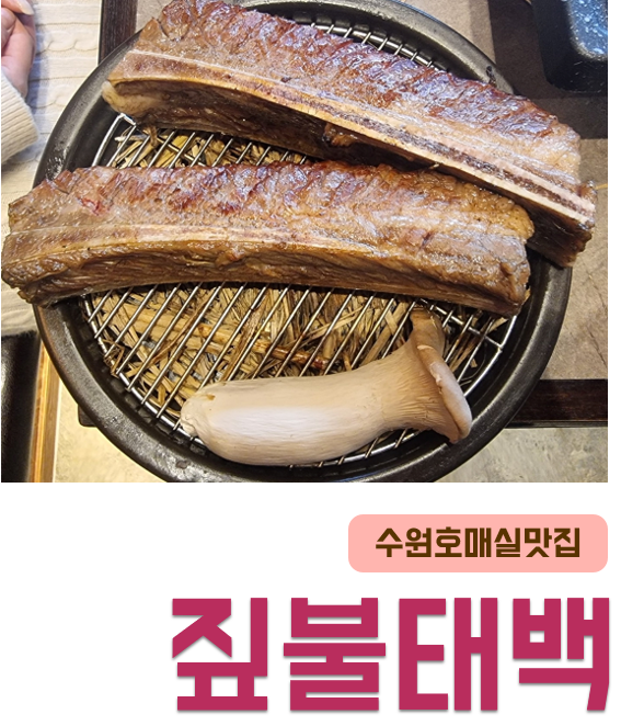 수원호매실맛집 추천 호매실소고기맛집 짚불태백 네이버 블로그