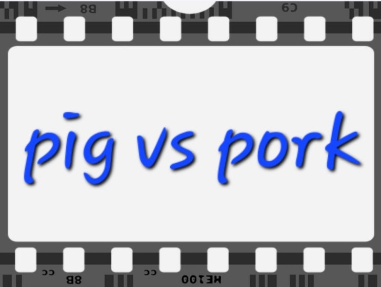 돼지는 영어로? (pig, pork 차이점 알아보기!) : 네이버 블로그