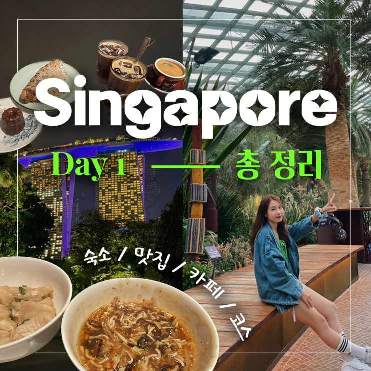 싱가포르🇸🇬 가족여행 1일차 코스 숙소 맛집 And 필수 정보유심 도시락 그랩 이지링크 카드 총정리 오차드로드