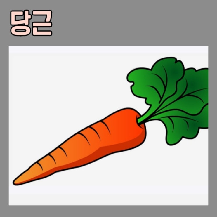 당근 효능ㅣ칼로리ㅣ영양성분 ️당근 흡수율 높이는 먹는법 베타카로틴 풍부 네이버 블로그