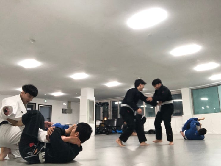 김해 주짓수 운동 어방동 삼방동 헬스 다이어트 인제대 네이버 블로그